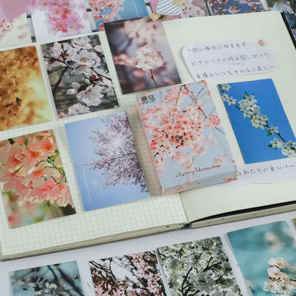 Stickers – Chíkidi