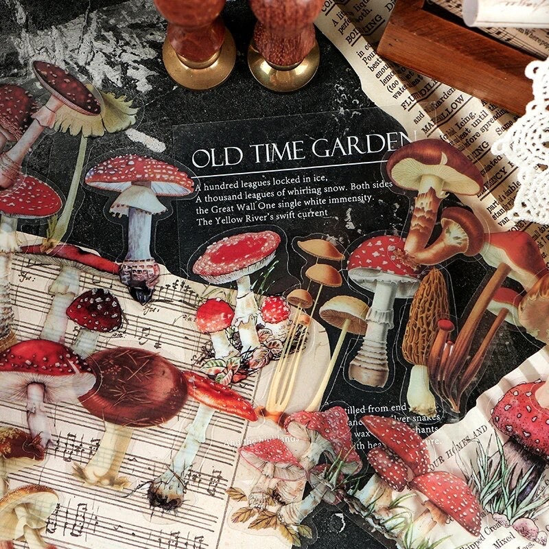 Stickers Transparentes de Hongos Old Time Garden - Papelería Bonita ...