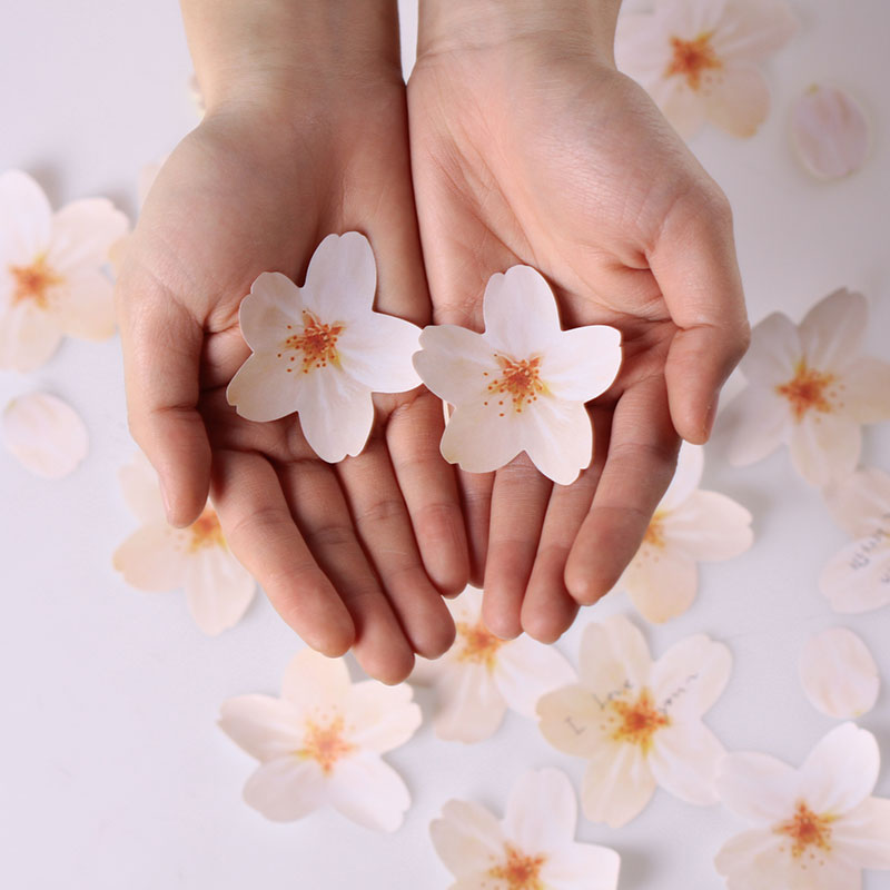 Papelería Bonita, Hogar y Accesorios – Chíkidi